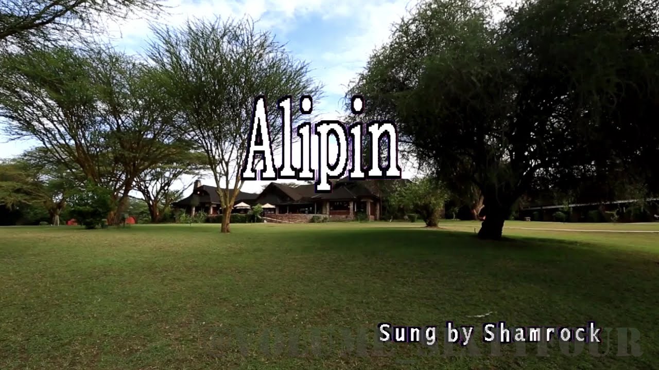Shamrock - Alipin || Karaoke/Lyrics/Instrumental - YouTube