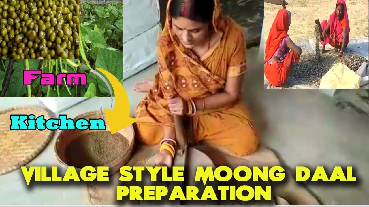 A Complete process of moong daal preparation from FARM to KITCHEN ...
