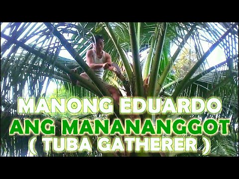 ANG MANANANGGOT ( TUBA GATHERER ) - PANGINABUHI NI MANONG EDUARDO - YouTube