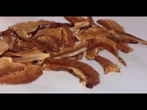 Reishi Mantarı Çayı Nasıl Hazırlanır? - SifaMarket.com.tr