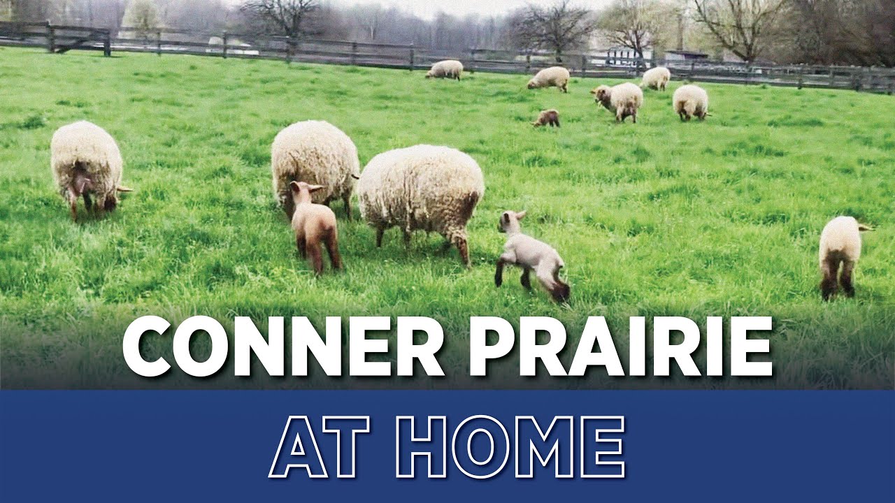 Conner Prairie - Monday Meet & Greets - Encounters with Animals - Baby ...