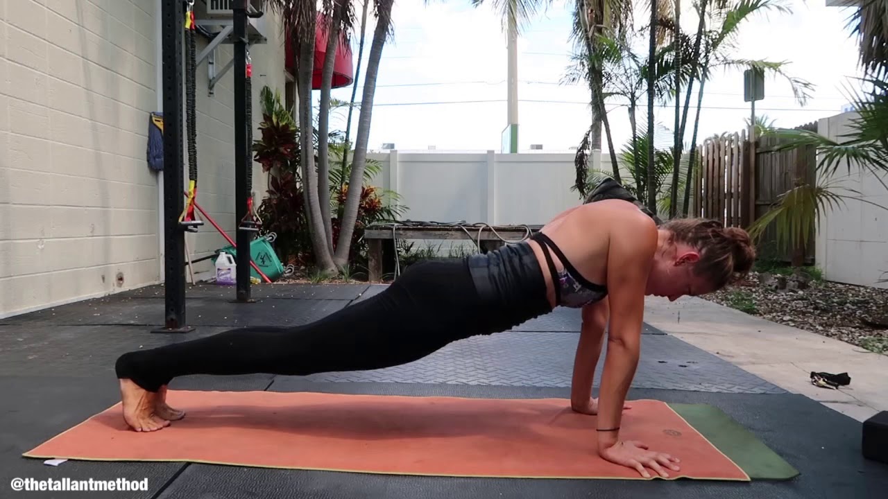 Plank Scap Shrugs - YouTube