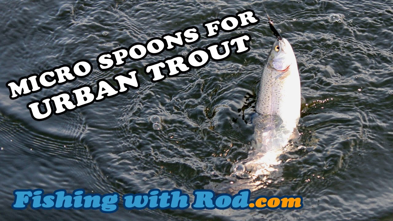 Micro Spoons for Urban Trout | Fishing with Rod - YouTube