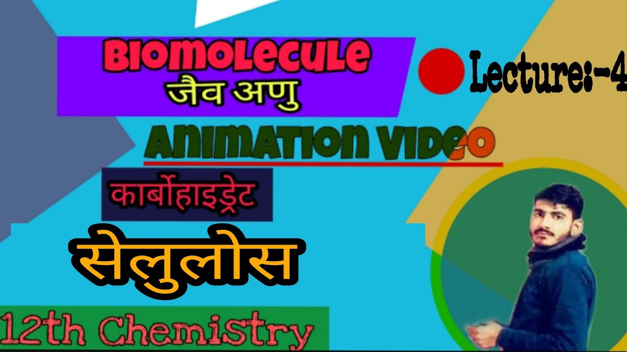 जैव अणु (Biomolecule)| सेलुलोस |12th_Chemistry Animation video|chapter ...