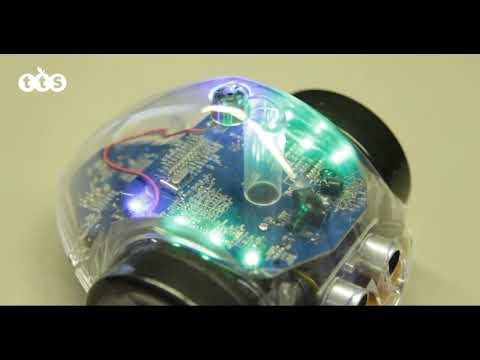 Ino-Bot-robotit - kuinka käytät