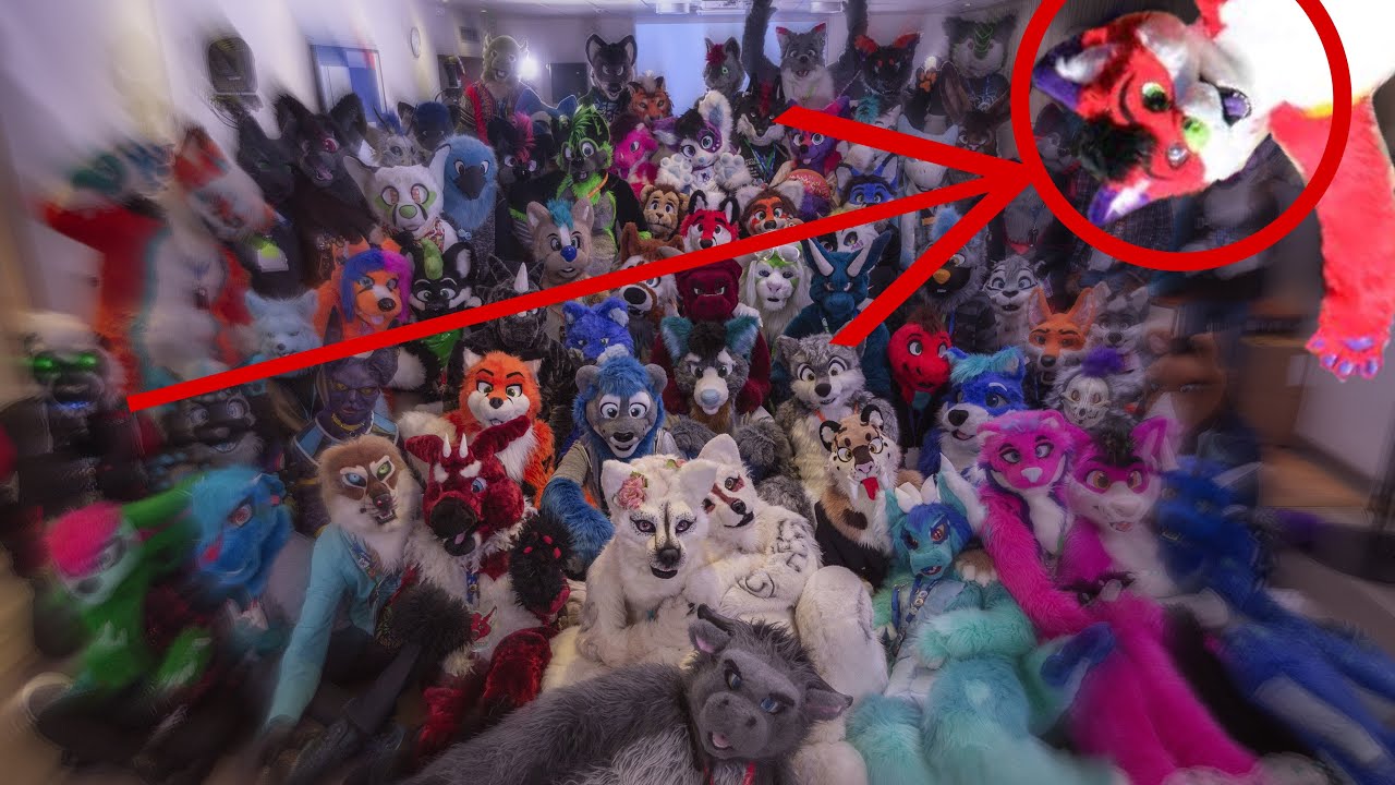 Types of fursuits - YouTube