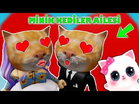 😻 SAFTİRİK KEDİLER AİLESİ ! YAVRU KEDİYİ KAÇIRDILAR !😭 | ROBLOX BROOKHAVEN HİKAYE ! 💔
