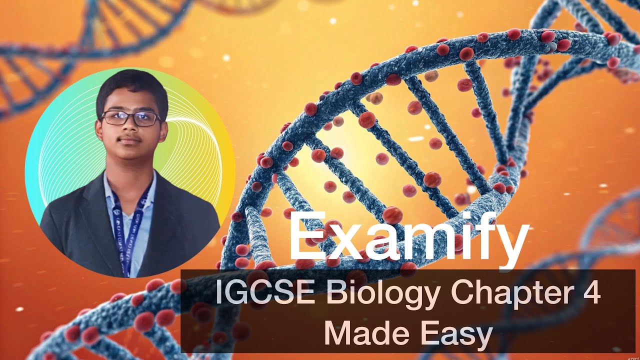 IGCSE Biology Revision: Chapter 4 | Biological Molecules Made Easy ...