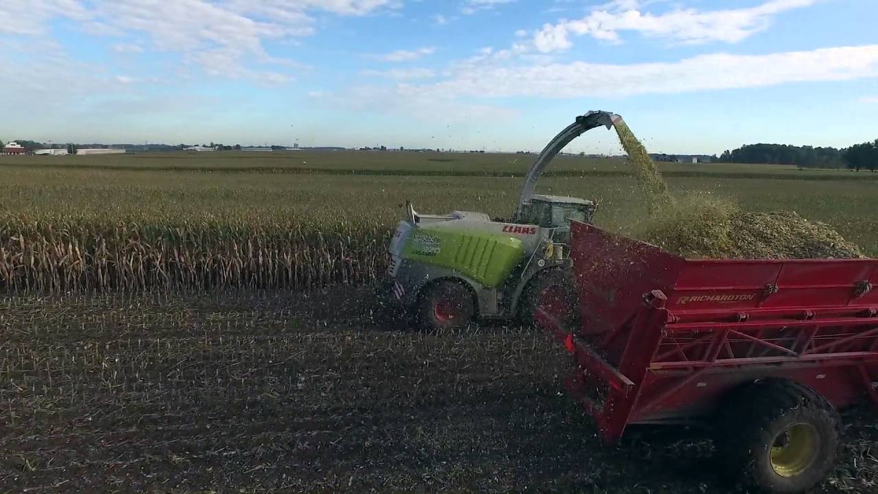 Farm Scenes - YouTube