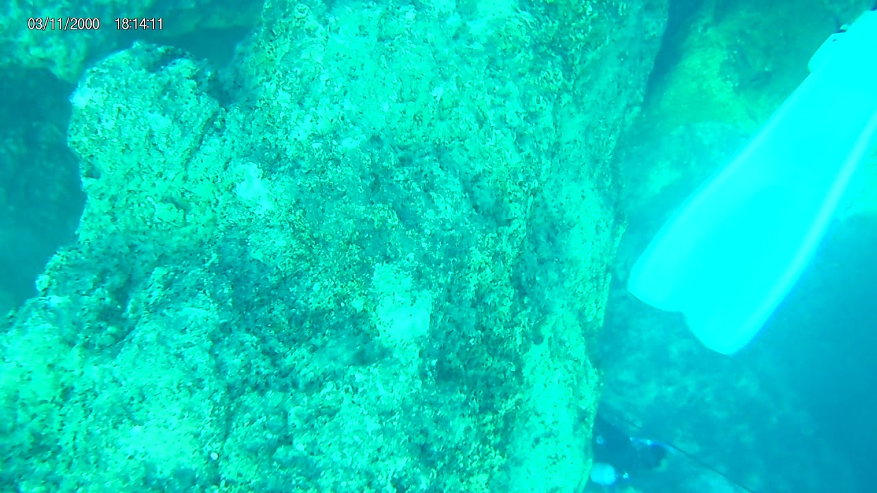 Cave at Vortex Springs - YouTube