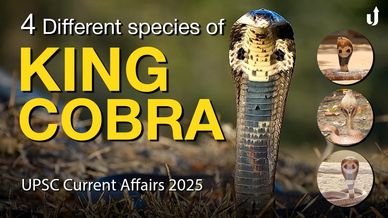 King Cobra Reclassified | 4 Unique Species Discovered | | UPSC Current ...