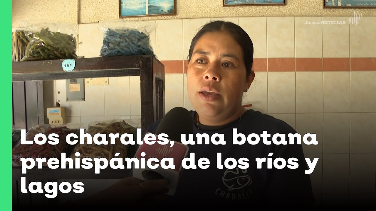 Los charales, una botana prehispánica de los ríos y lagos | Jalisco ...