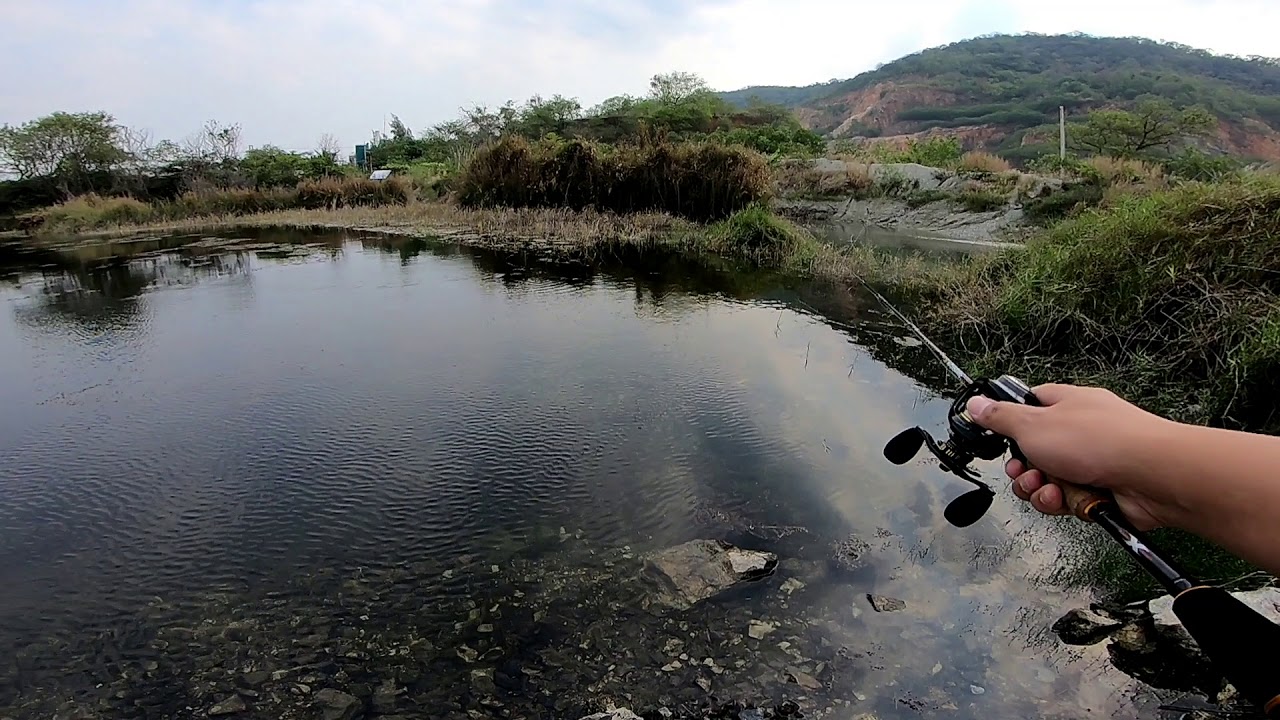 "Texas rig" Mini Frog - YouTube