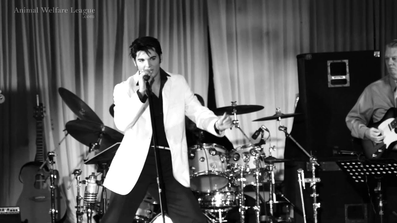 "Heartbreak Hotel" | Cody Ray Slaughter | Live At Sabre Room Chicago ...
