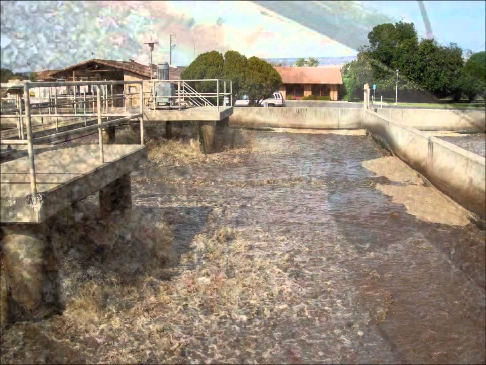 Sustainable Manner Towards Efficiency of BOD Removal in STP - YouTube