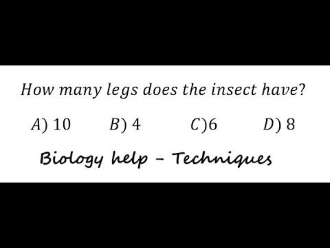 Biology Help: How many legs does the insect have? - Answer the question ...
