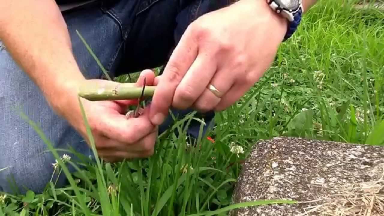 Willow Whistle - YouTube