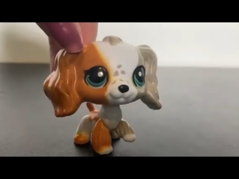 Unboxing LPS Cocker Spaniel And Calico Cat Pet Pairs - YouTube