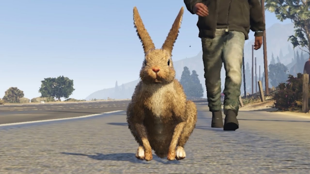 a very LOUD Bunny - YouTube