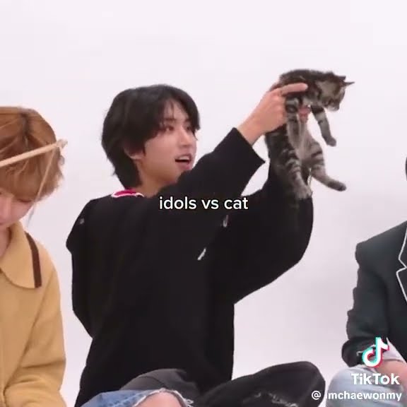kpop idols vs their cats 🤗🤗🫶 💖💖🐱 #kpop #cats #cutecats #fart ...