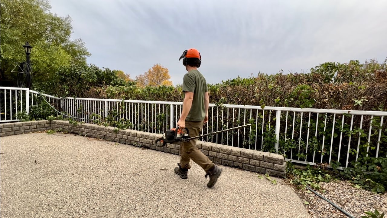 Cleaning Up Hedges & Maintenance on the Stihl HS 81 T 30” Trimmer - YouTube