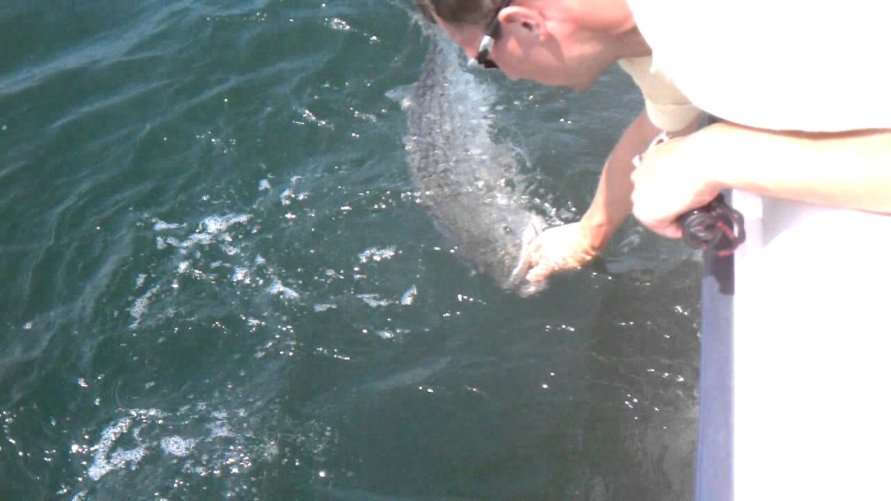 Fire island fishing bunker pods - YouTube