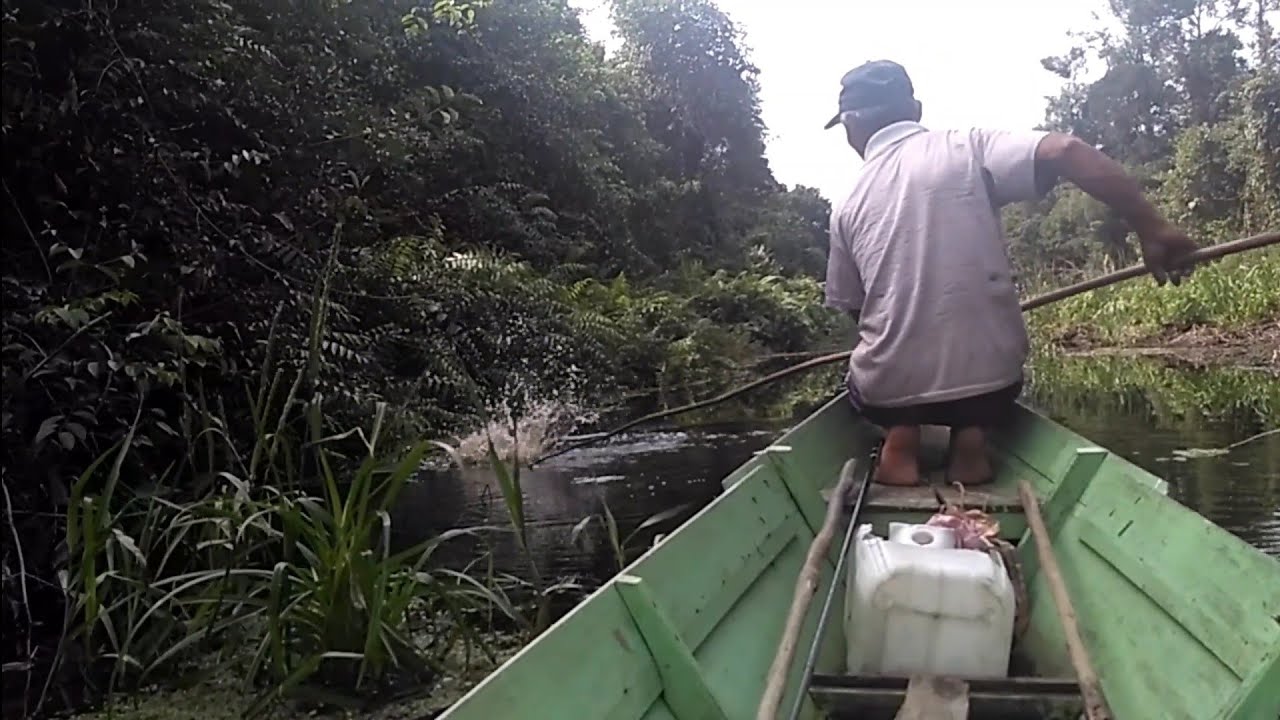 mancing dengan cara Tradisional orang kalimantan jaman dulu#022 - YouTube