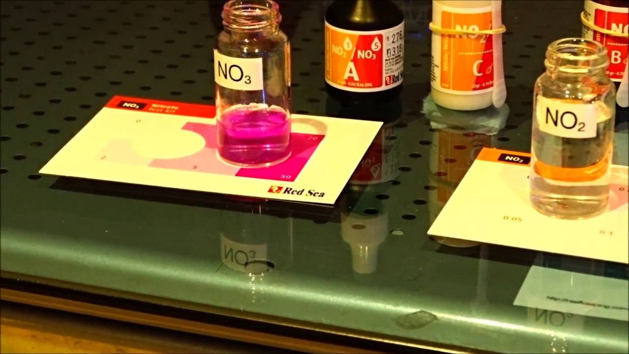 205g Reef Build - Curing Pukani Dry Live Rock - E2 - YouTube