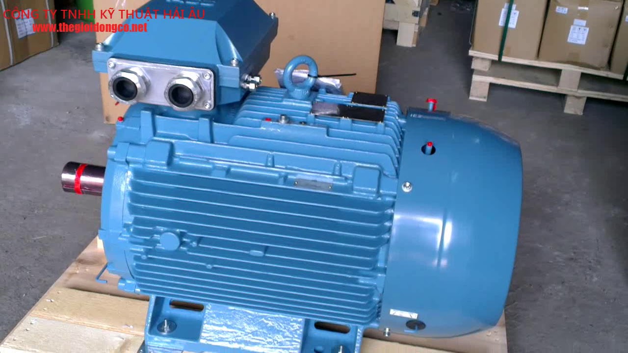 Motor 110KW ABB Dong co ABB 110KW M2QA M2BA M2BAX M3BP ABB 110KW 150HP ...