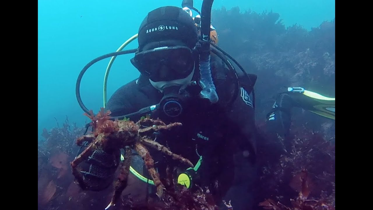 Scuba Diving at Monastery Beach - 2019 - YouTube