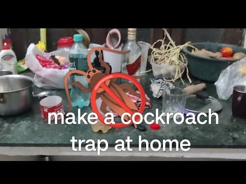 tutorial video that helps you to trap cockroach 🪳/how to make a ...