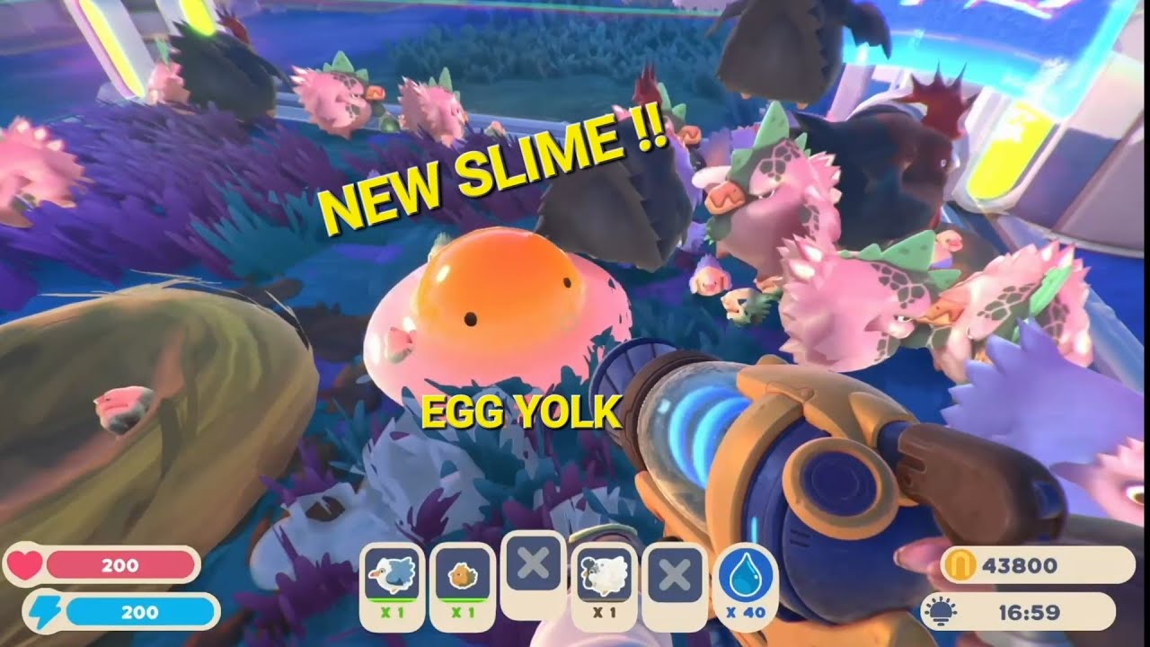 Slime Rancher 2 - New Update Gameplay. Rare Yolky Slime, Sun Sap, Saber ...
