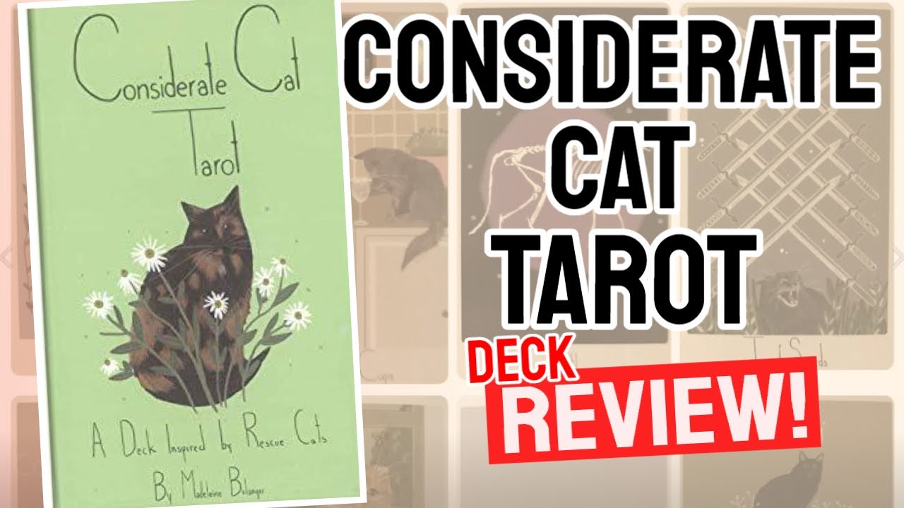 Considerate Cat Tarot Review (All 78 Considerate Cat Tarot Cards REVEALED!) - YouTube