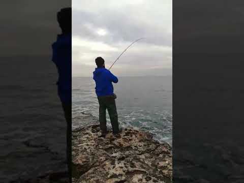 Mersin de  jig ile  ceylan avı.
