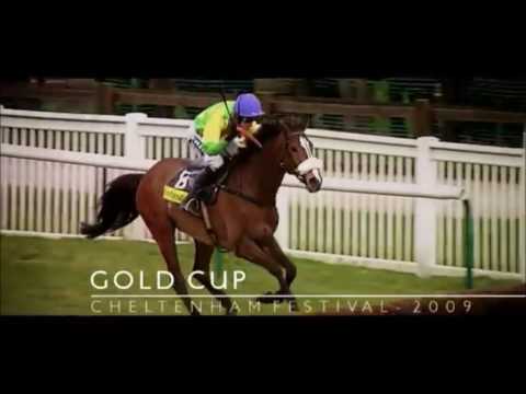 Kauto Star Tribute - All The Kings Horses - YouTube