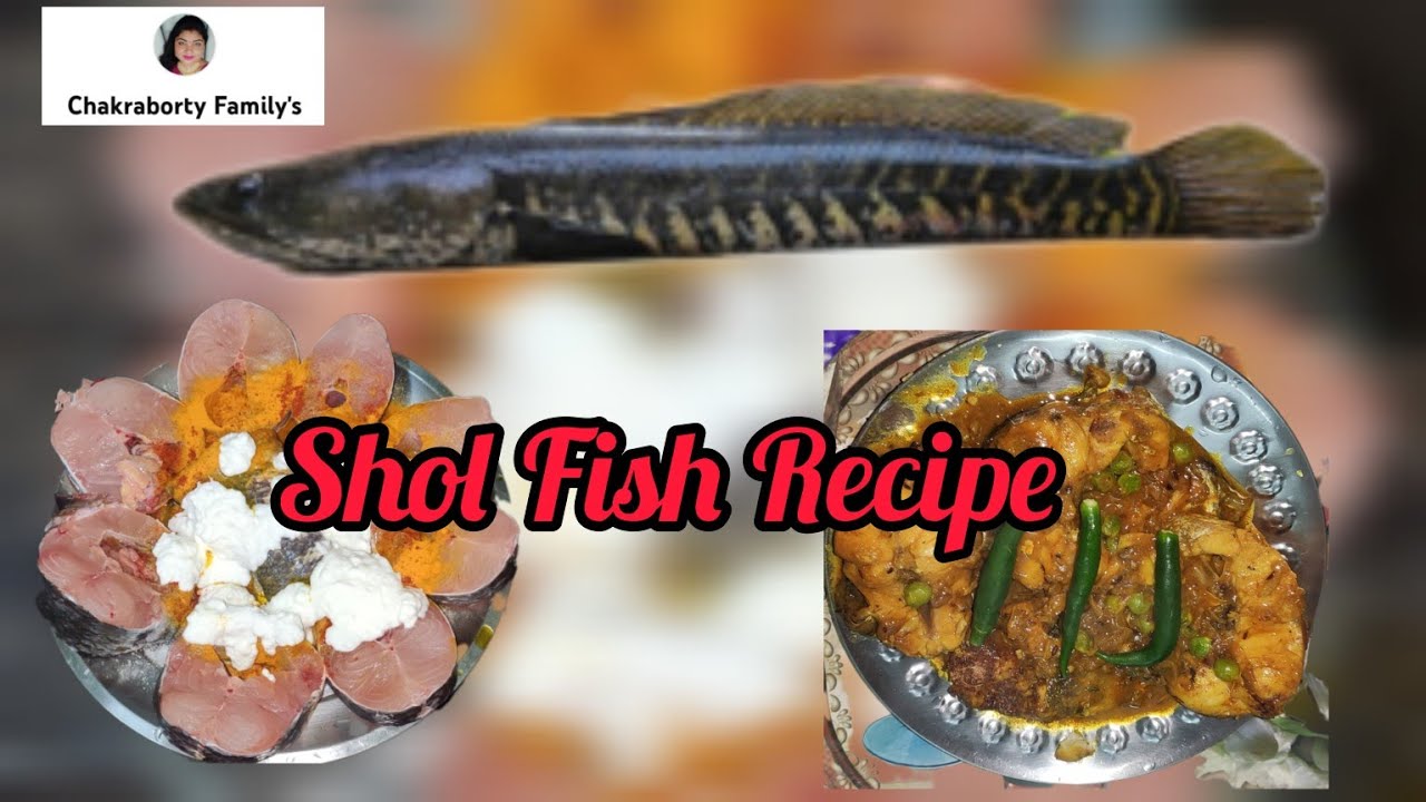 Shol Macher Recipe || শোলমাছ এইভাবে রান্না করলে মাংস খেতে ভুলে যাবেন ...