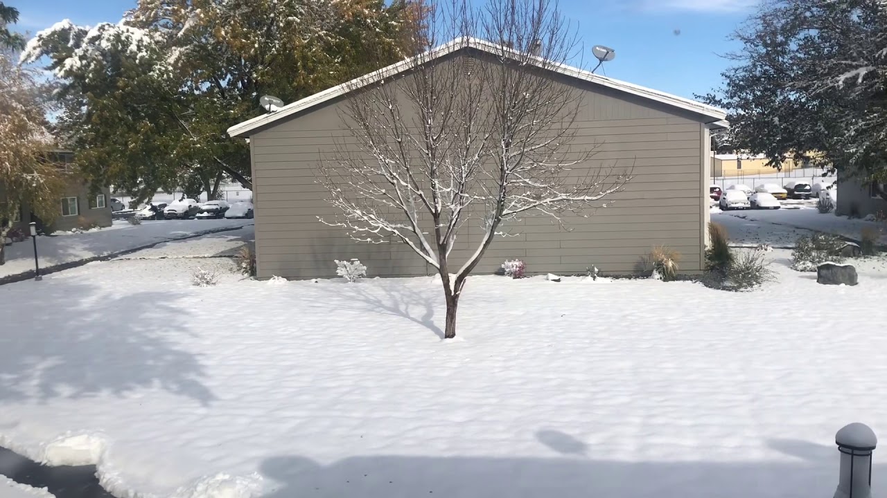 First 2020 snow in Reno and Sparks NEvada - YouTube
