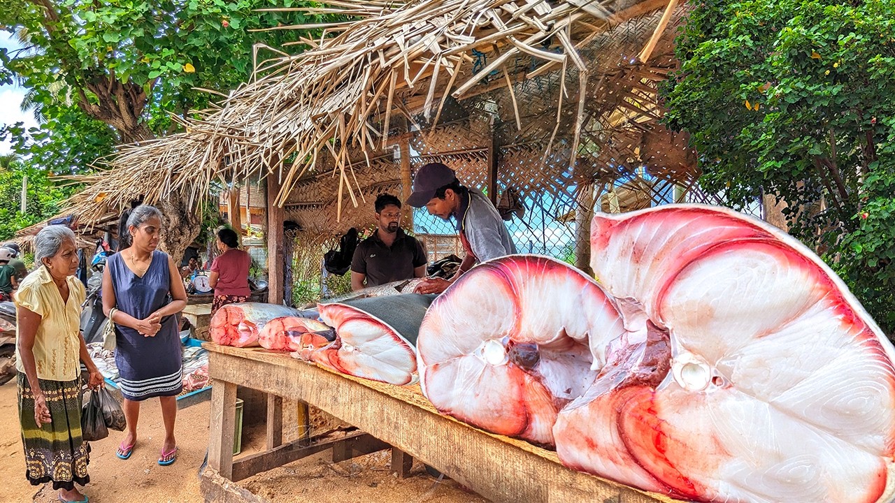 Massive Fresh Fish Cuts by Skilled Fishermen in the Market - YouTube