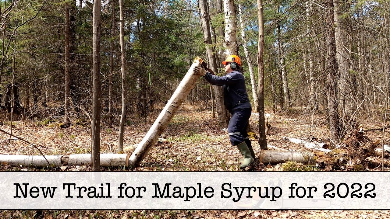 New Trail for Maple Syrup for 2022 - YouTube
