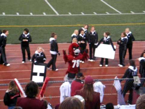 Hava Nagila IUP Trumpet Charge - YouTube