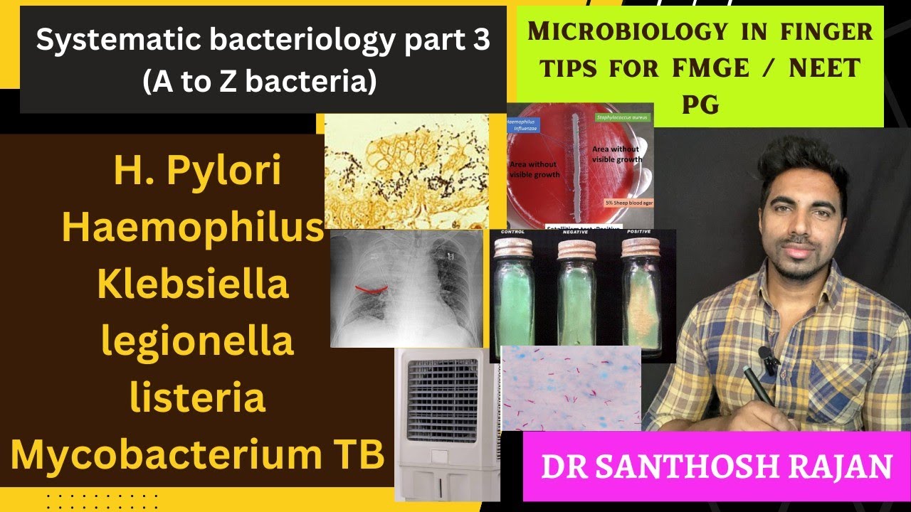 Systematic bacteriology part 3 | microbiology rapid revision | fmge ...