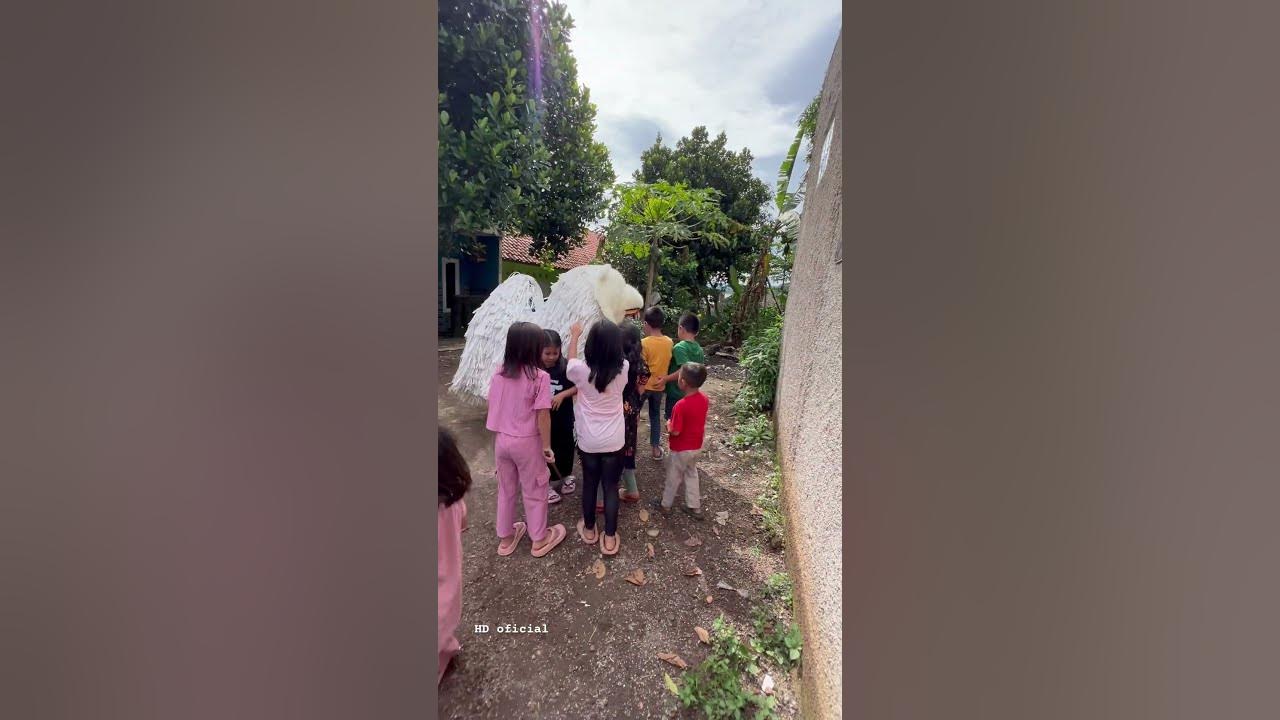 Bocil ep ep di gigit can macanan ‼️ - YouTube