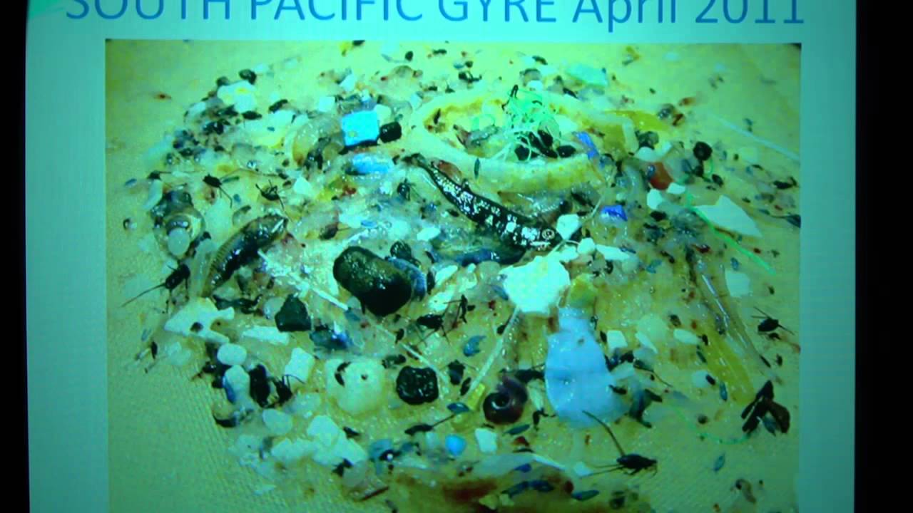 Charles Moore- Plastic Ocean - YouTube