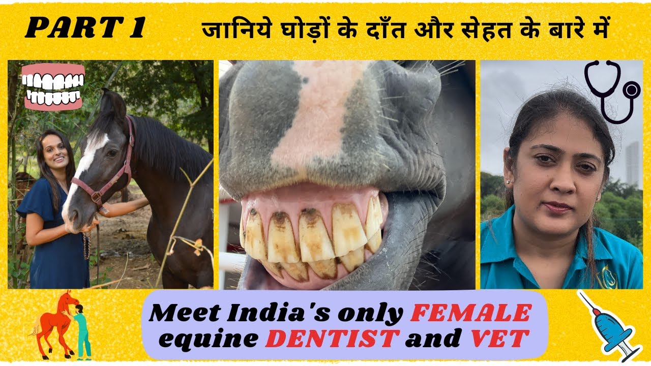 Meet Dr. Akruti Choksi & Dr. Harnoor Dawra and know the connection ...