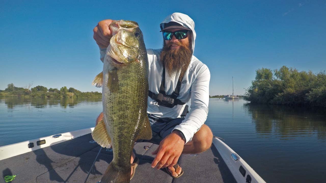 Frog Fishing Tips on the California Delta... - YouTube