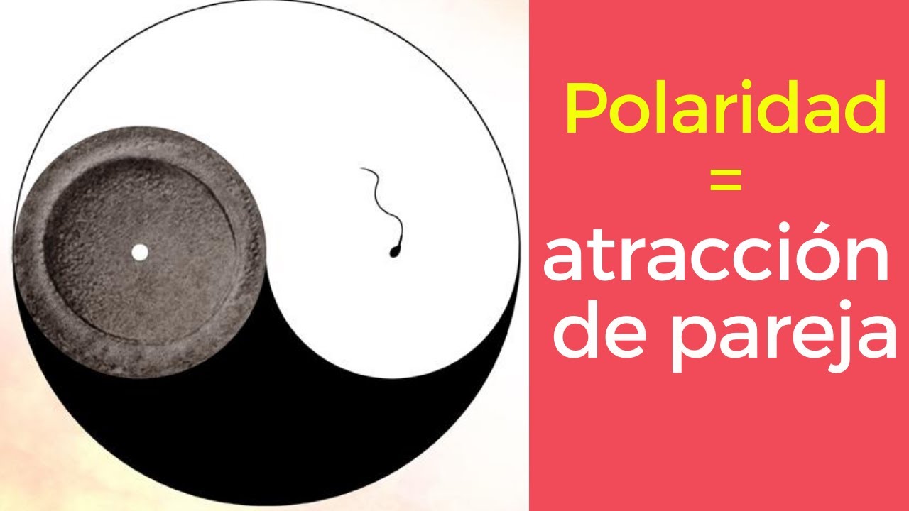 Que es la polaridad - porque genera atraccion de pareja - YouTube