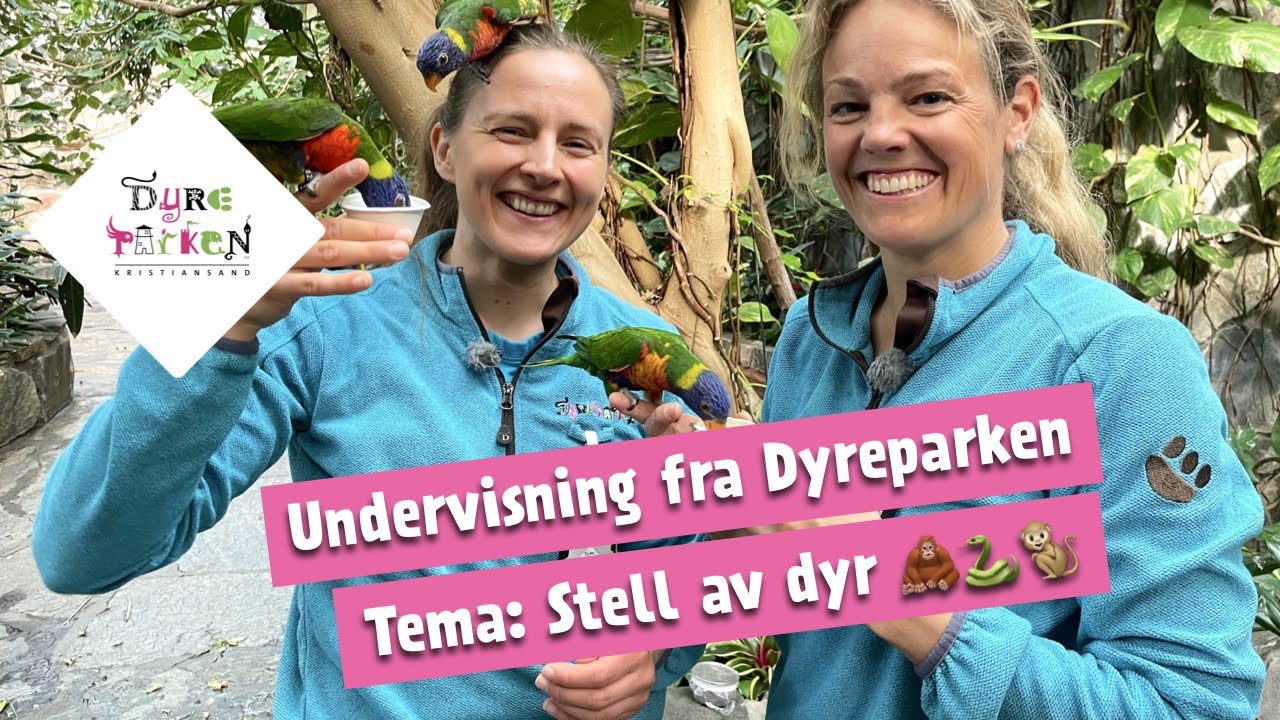 Undervisning fra Dyreparken: Stell av dyr 🦧🐍🐒 - YouTube