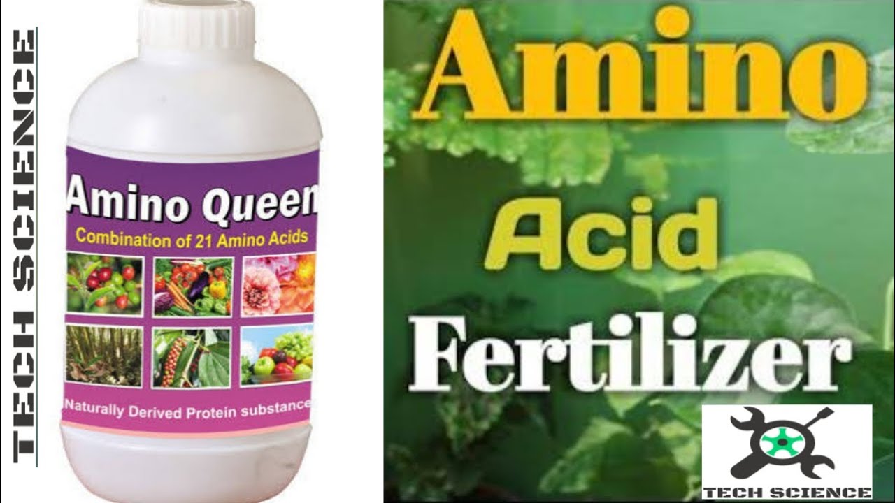 Amino Acid | Fertilizers Manufacturing - YouTube