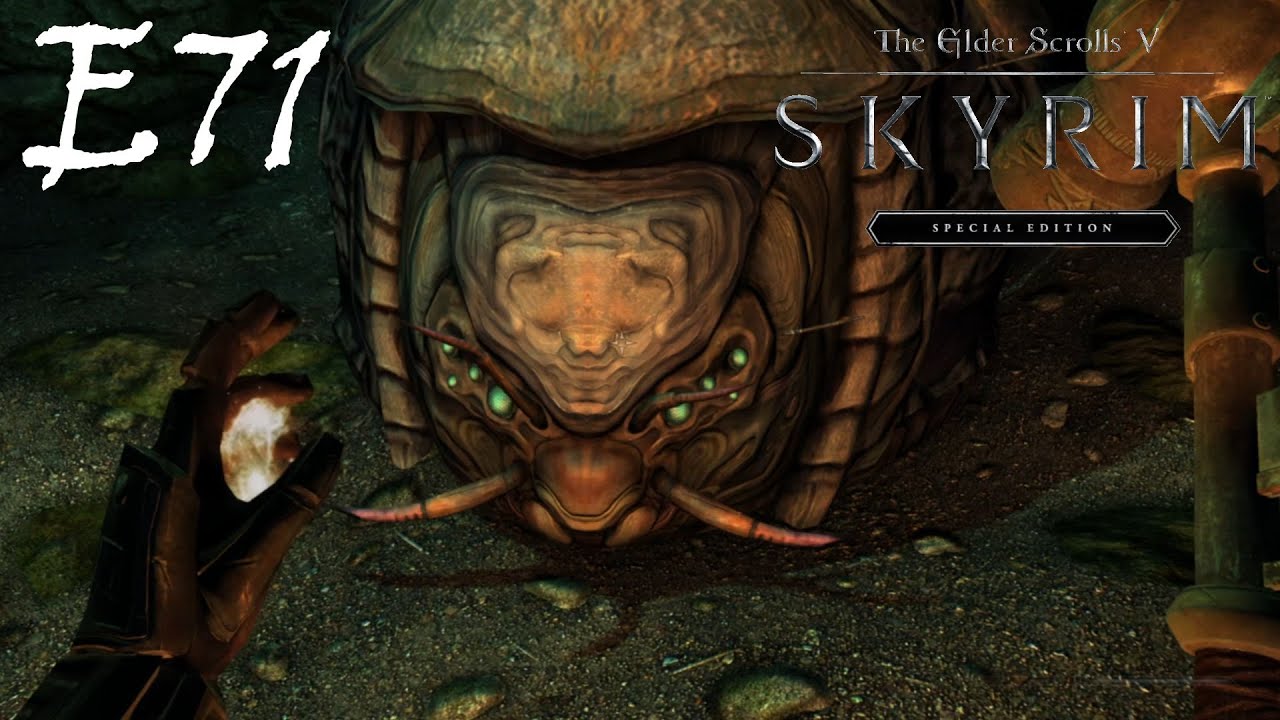 Skyrim // Exploring the Forgotten Vale // E71 - Blind Playthrough - YouTube