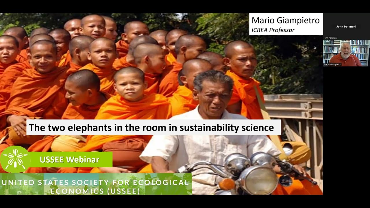 Mario Giampietro: Two Elephants in the Room of Sustainability Science ...